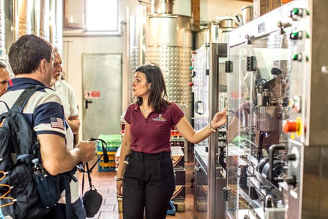 Organic Wine Tasting & Lunch Experience on Mt Vesuvius - Frequently Asked Questions