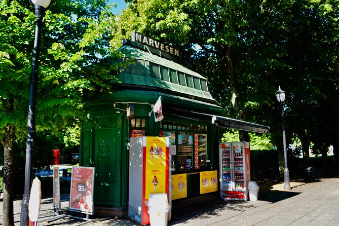 Oslo Panorama El-Bike Tour - Authenticity and Value