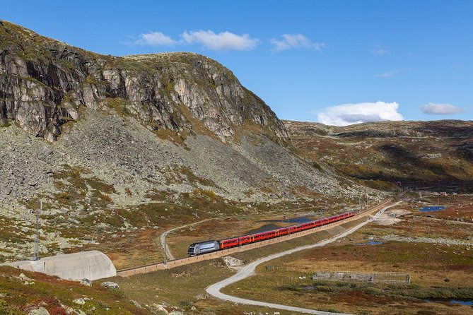 Oslo To Sognefjord Private Full Day Roundtrip Including Flam Railway - Final Thoughts: Is This Tour for You?