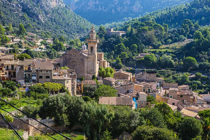 Palma de Mallorca Shore Excursion: Private Tour of Valldemossa, Soller and Serra de Tramuntana - What’s Included and What’s Not