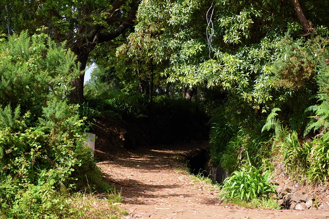 Paradise Valley Beauty Walk - The Sum Up: A Worthwhile Introduction to Madeira’s Natural Beauty