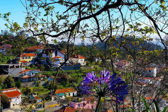 Paradise Valley - Levada Walk - FAQ