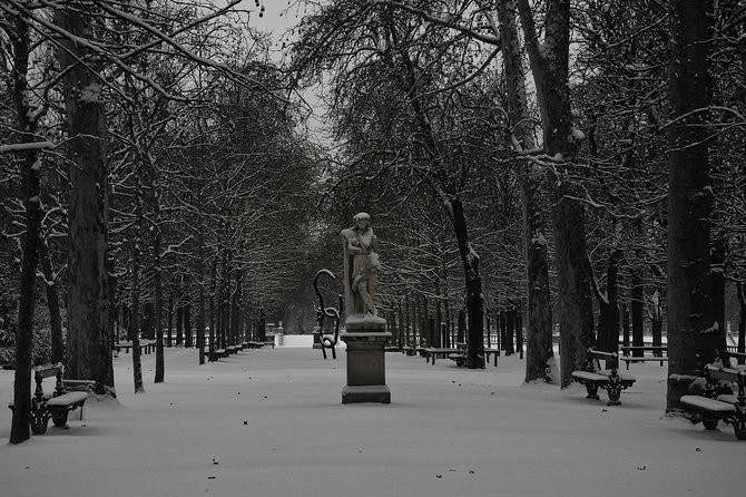Paris Christmas Tour with a Local Guide, Custom & Private - FAQ