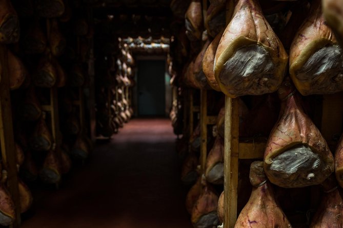Parma Hillside Private Food Tour and Tasting - Who Will Love This Tour?