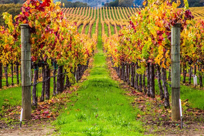 Peljesac Peninsula Wine Tasting Luxury Tour from Dubrovnik - Practical Tips for Your Trip