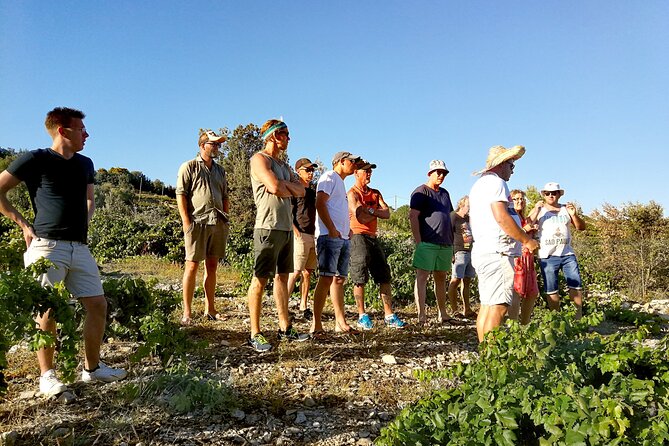 Peljesac&Ston Small-Group Food & Wine Experience from Dubrovnik - Who Should Book This Tour?