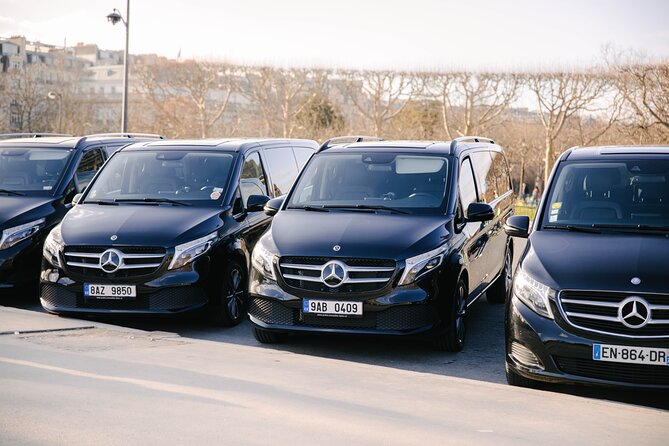 Personalized Transport service from Disneyland to Paris - What to Expect at Arrival and Pickup