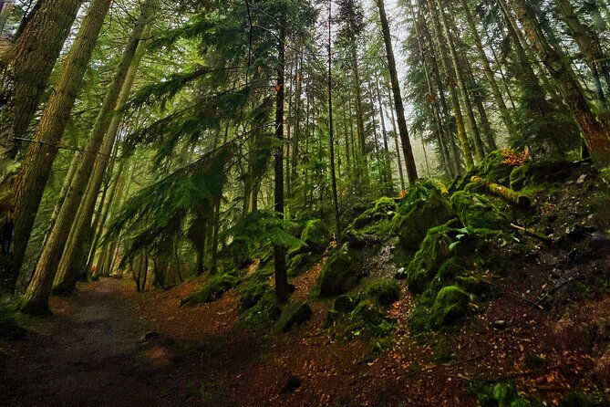 Perthshire Highlands: Private Land Rover Tour - Final Thoughts