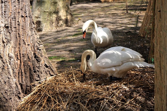 Photo Tour "Philip the Good" + Boat trip - The Canal Boat Trip: A Bonus for Photographers