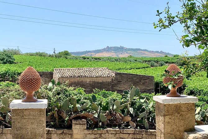 PIAZZA ARMERINA and WINERY - Private Tour starting from Agrigento - Final Thoughts