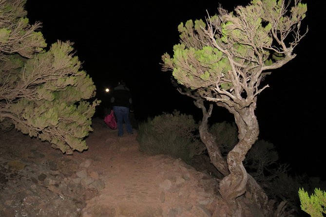 Pico Ruivo Sunrise Hike and 4x4 Island Tour from Funchal - Final Thoughts
