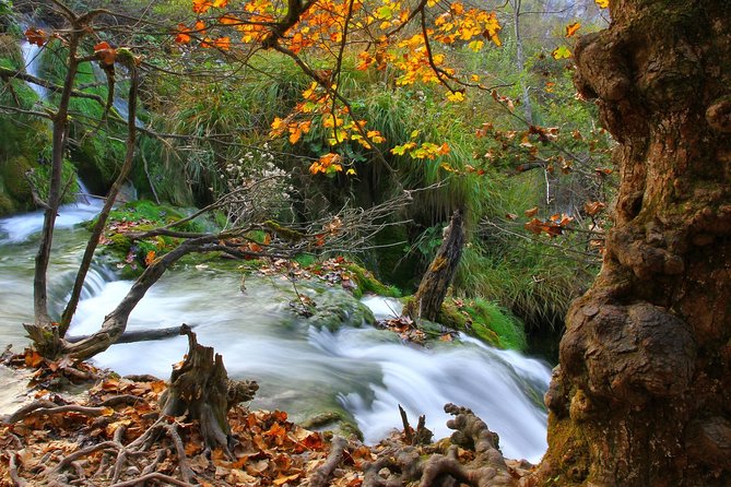 Plitvice Lakes 'Best of' Tour - The Final Word