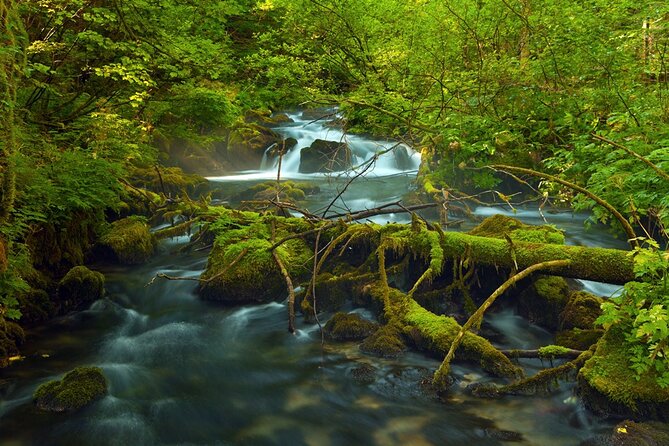 Plitvice Lakes Private Guided Walking Tour - Review Highlights from Enthusiastic Travelers