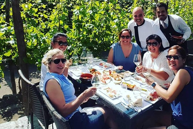 Pompei Archeological site and Wine tasting Experience - Who Is This Tour Best For?