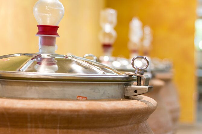 Pompeii Guided Tour & Lunch with Tasting at Two Vesuvian Wineries - Authenticity and Value