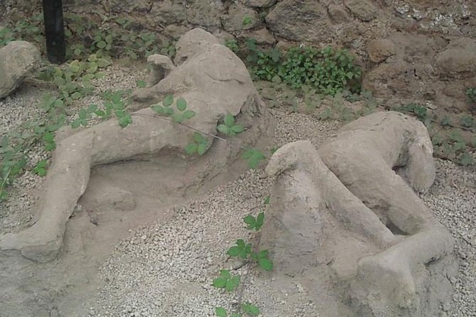 Pompeii Ruins Excursion for 3 hours (round-trip included) - Practical Tips for Your Pompeii Visit