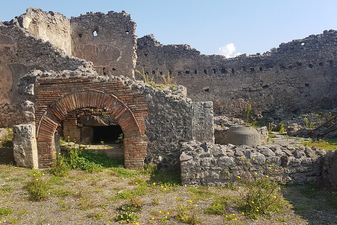 Pompeii Tour with experienced guide - Final Verdict: Is This Tour for You?