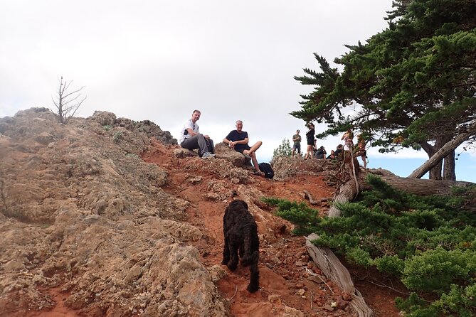 Porto Santo - Terra Chã Hiking Tour - Authentic Experiences Highlighted by Reviews
