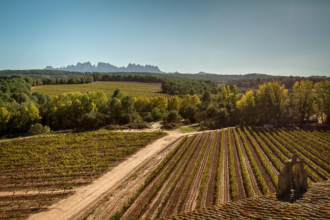 Premium Montserrat & Wine Full Day Tour from Barcelona - Practical Considerations: Timing, Group Size, Price