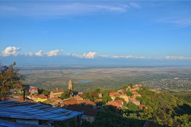 Premium & Organic Wine Tour in Kakheti - Frequently Asked Questions