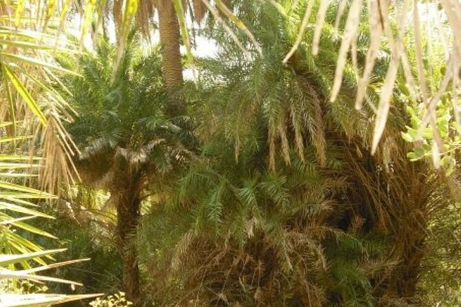Preveli palm Beach & Damnoni Excursion - Authentic Experiences Versus Possible Disappointments