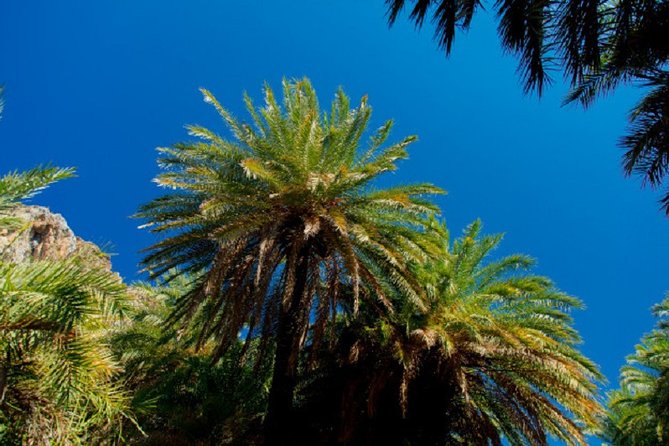 Preveli Palm Beach From Rethimno - Practical Tips for Travelers