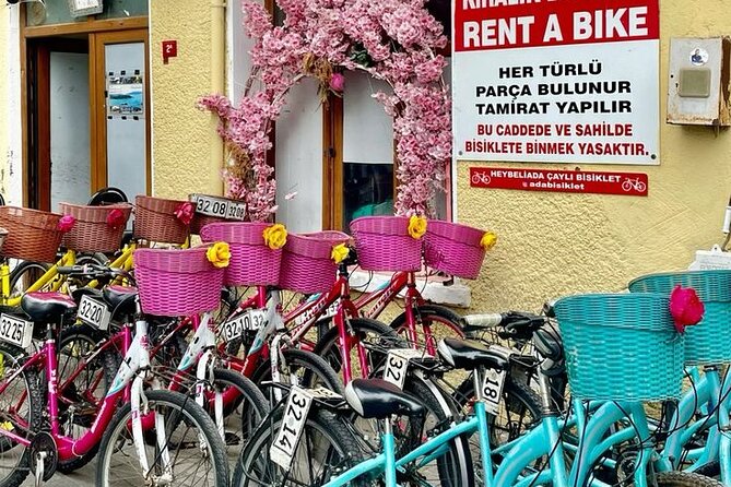Princess Islands Daily Tour from Istanbul - Who Is This Tour Best Suited For?