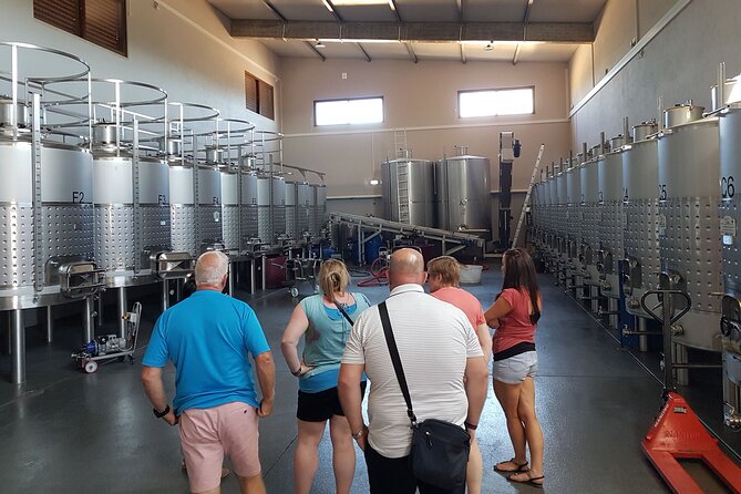 Private Algarve Wines Route - Who Will Love This Tour?