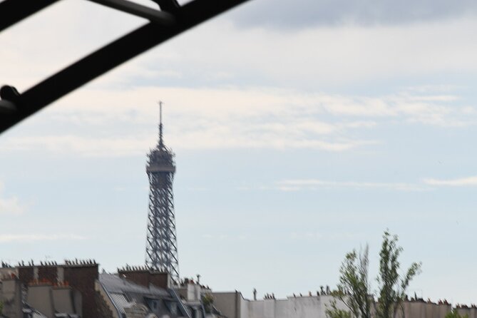 Private Boat Trip in Paris - Practical Considerations and Recommendations