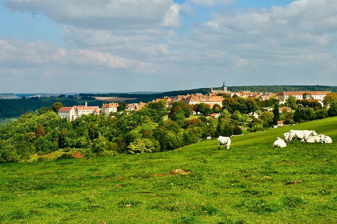 Private Burgundy 3 Domaines Chateau Pommard Chablis 15 Wines Trip - FAQs