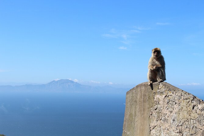 Private Day Tour in Gibraltar and Tangier, Morocco from Malaga - FAQs