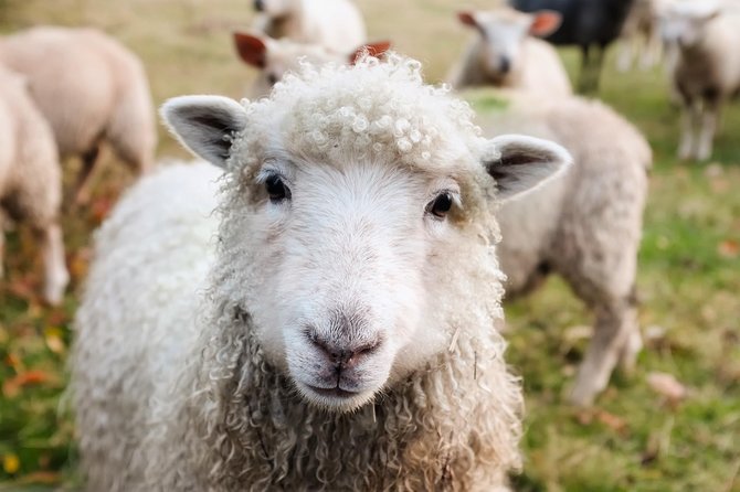 Private Day Tour to Oxford and The Cotswolds - Who Should Consider This Tour?