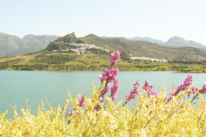 *Private Day Trip* from Cádiz: The White Towns of Andalusia - Practical Tips for Booking and Enjoying the Tour