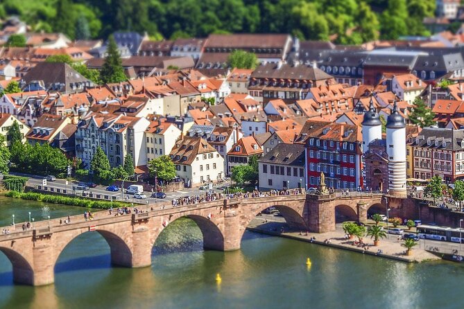 Private day trip: from Frankfurt to Heidelberg and back - The Sum Up