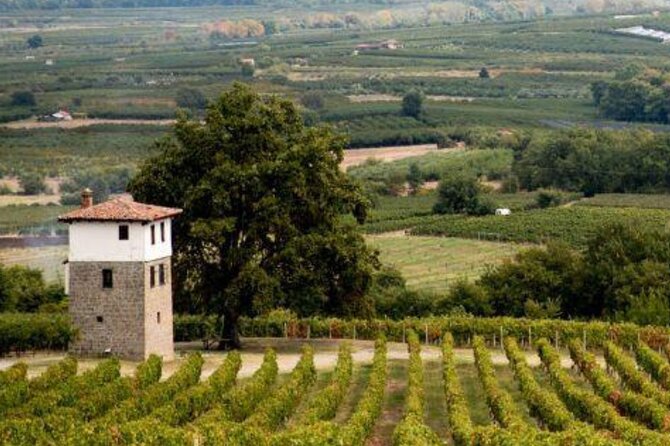 Private Day Trip from Thessaloniki to Vergina, Naousa, and Edessa - Who Will Love This Tour?