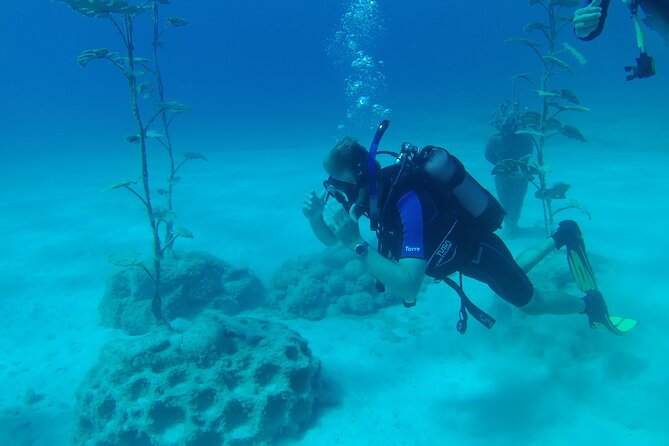 Private Diving Cyprus Experience Protaras and Ayia Napa & Turtles - Practical Details