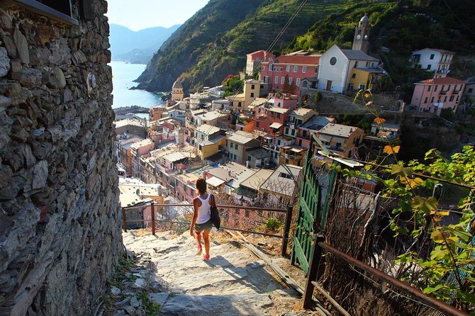 Private EASY Cinque Terre & Pisa Accessible Tour from Livorno - Who Should Book This Tour?