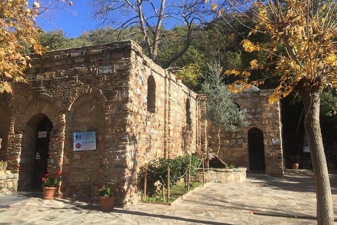 Private Ephesus Full-Day Tour from Izmir - Highlighted Benefits and Potential Drawbacks