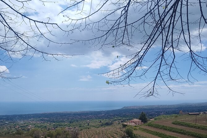 Private Etna tour with wine tasting and lunch - Final Thoughts