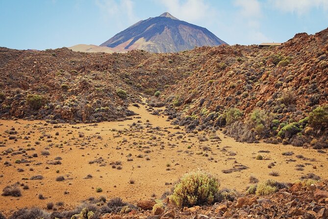 Private excursion to Teide National Park - Transportation and Comfort