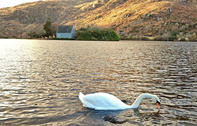 Private Full Day Ancestry Tour in Kerry - FAQ about the Private Ancestry Tour in Kerry