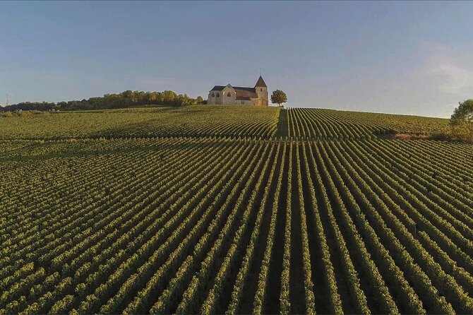 Private Full Day Tour to Champagne from Paris, Visit of 2 Champagne Producers - Who Is This Tour Best For?