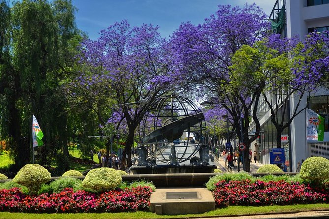 Private Funchal City Tour by Tukxi - Who Will Love This Tour?