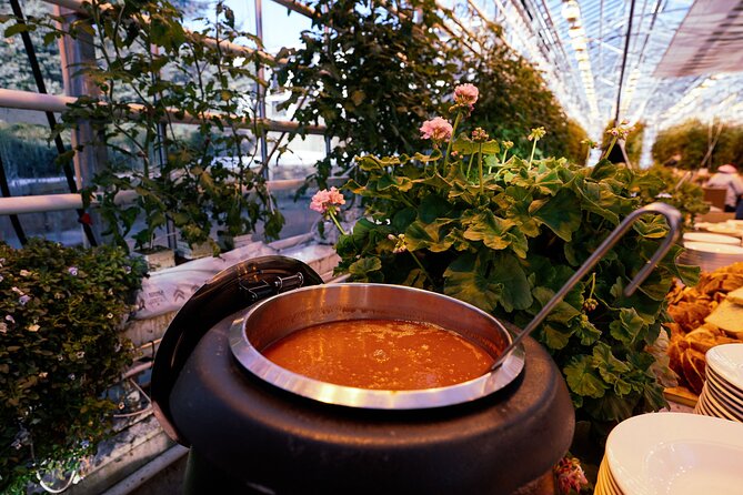 Private Golden Circle with Photographer, Lunch & Secret Lagoon - Who Is This Tour Best Suited For?