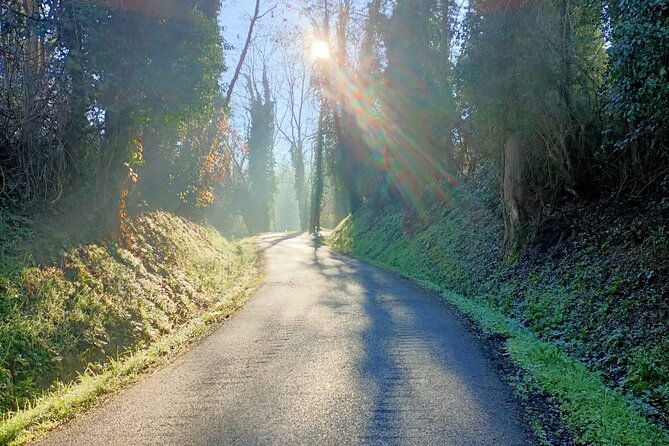 Private Guided E-bike Tour in Bertinoro - Who Will Enjoy This?