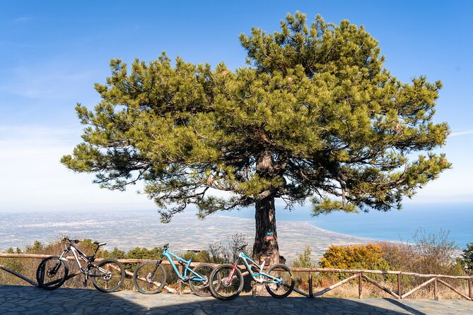 Private Guided E-Biking Tour on Mount Olympus - The Sum Up