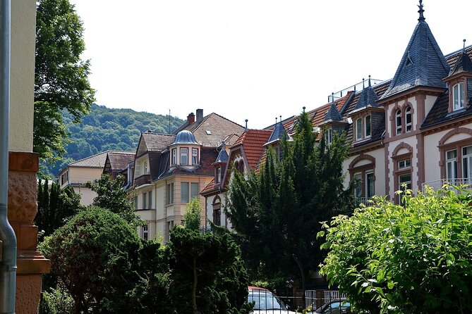Private Guided Heidelberg Tour from Frankfurt by Train - The Practicalities: Timing, Meeting, and Comfort