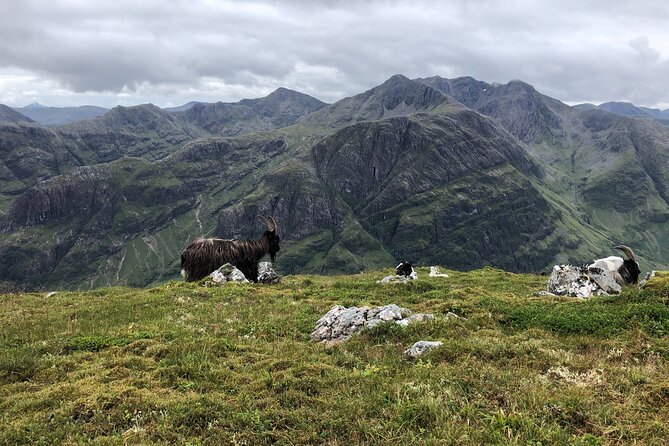 Private Guided Mountain Walking Experience in the Cairngorms - The Sum Up