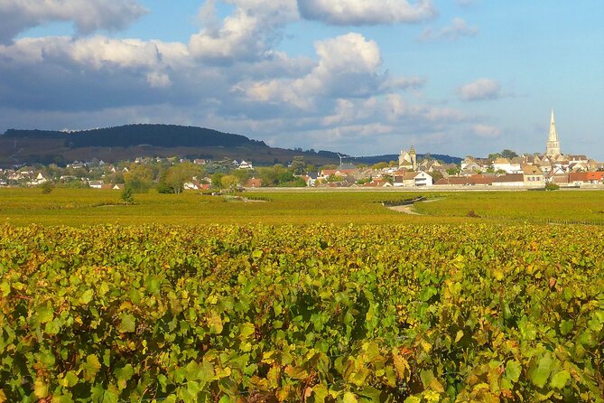 Private Guided Sidecar Tour in Burgundy from Meursault - Practical Details and Considerations