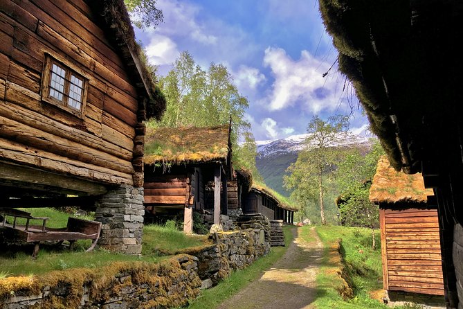 PRIVATE GUIDED TOUR: Norway's Highlights  Viking Special, 11-12 hours  SUMMER - Final Thoughts